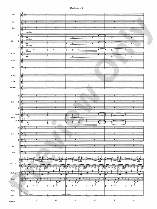 Paradiso: Concert Band Conductor Score & Parts: Robert W. Smith ...