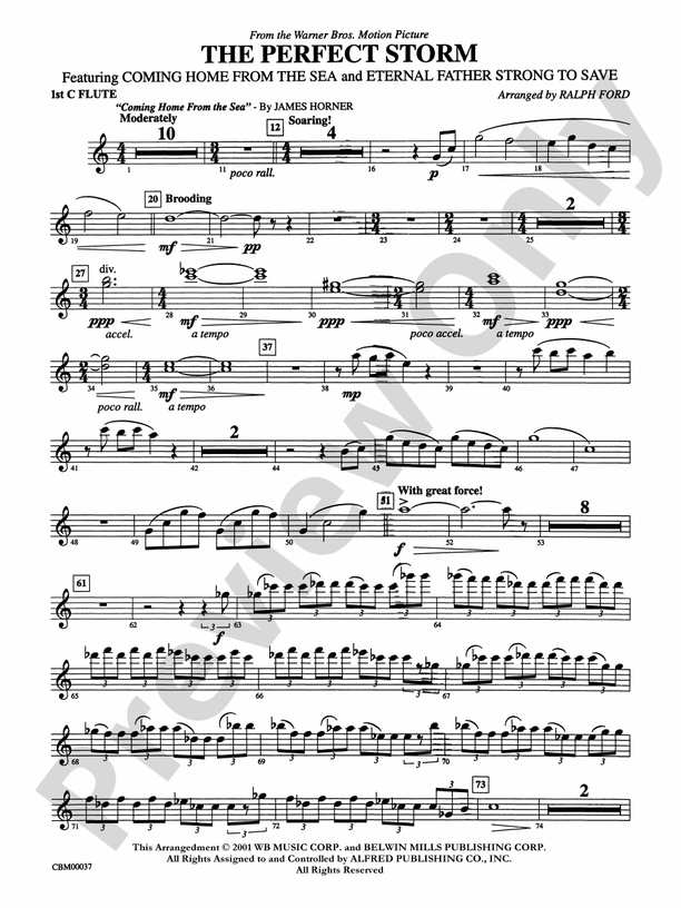 The Perfect Storm (from the Warner Bros. Motion Picture): Flute: Flute ...