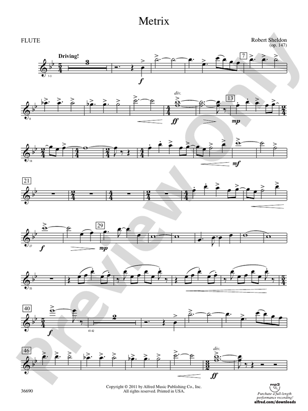 Metrix: Flute: Flute Part - Digital Sheet Music Download