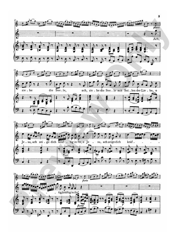 Bach: Tenor Arias, Volume III (German): Vocal Book: Johann Sebastian ...