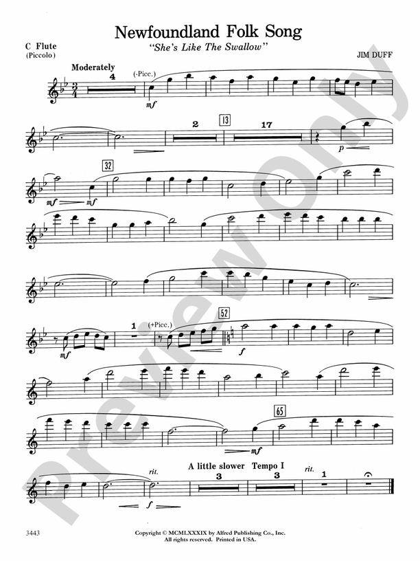 Newfoundland Folk Song: Flute: Flute Part - Digital Sheet Music Download