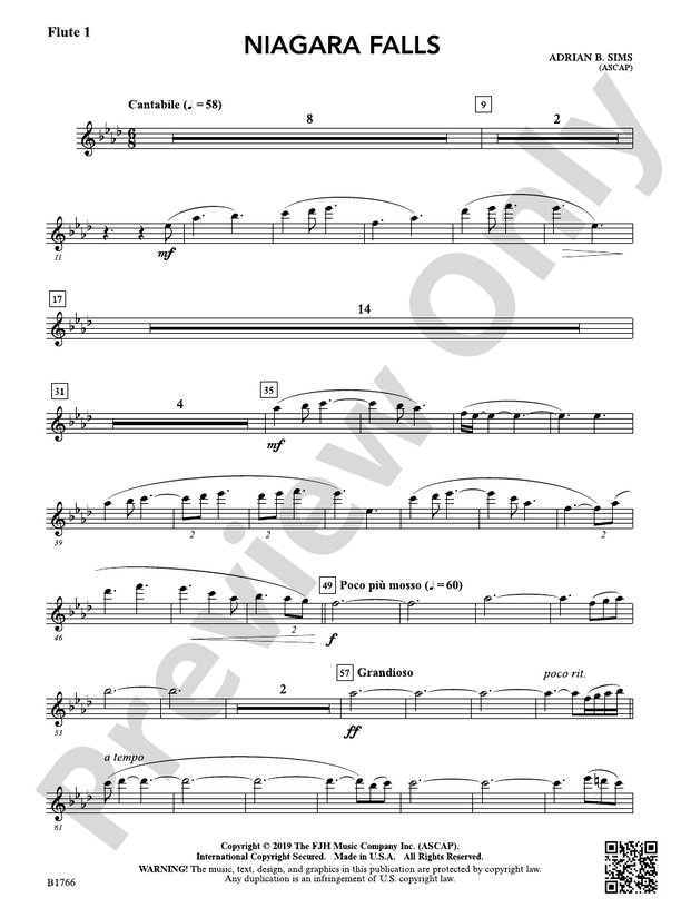 Niagara Falls: Flute 1: Flute 1 Part: Adrian B Sims - Digital Sheet ...
