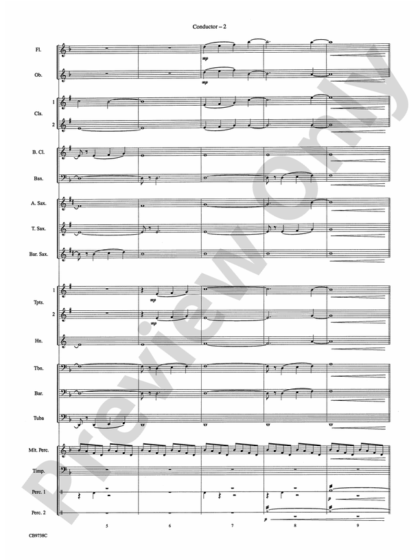 Batman Theme: Score: Concert Band Score - Digital Sheet Music Download