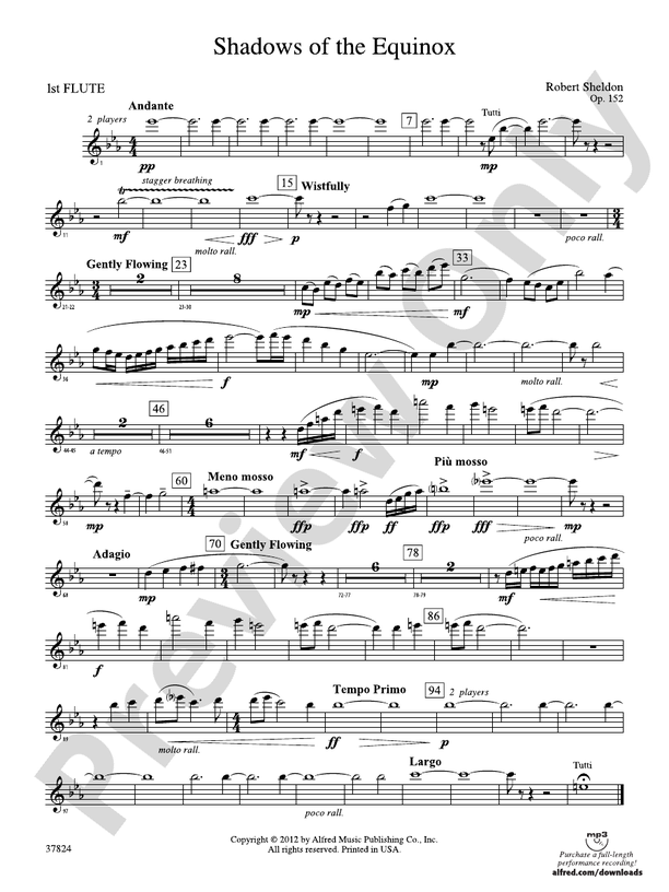 Shadows of the Equinox: Flute: Flute Part - Digital Sheet Music Download