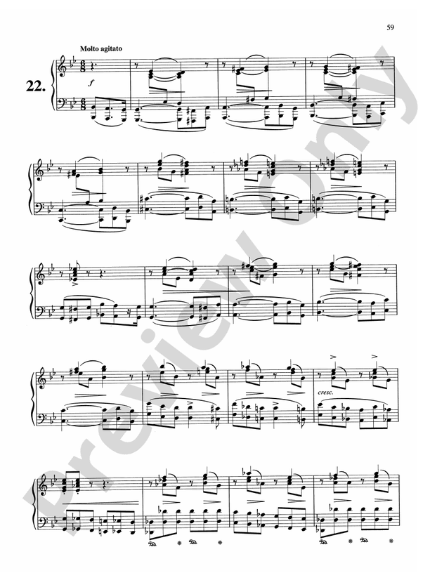 Chopin: Twenty-Five Preludes, Op. 28-45: No. 22, Opus 28 in G Minor ...