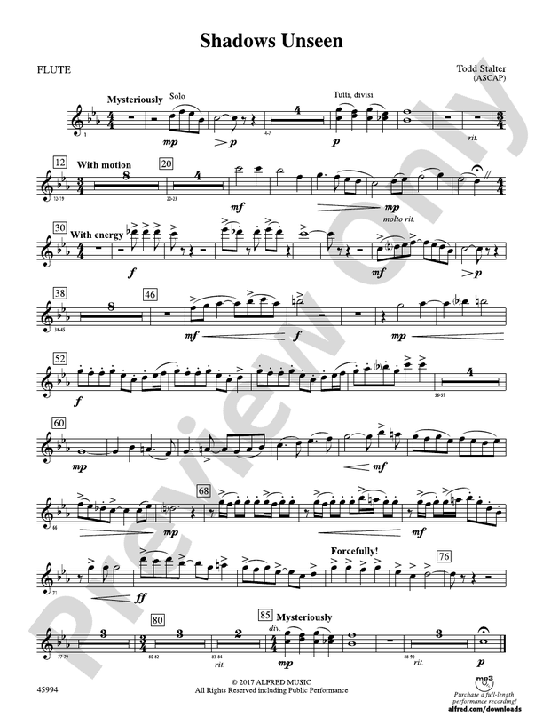 Shadows Unseen: Flute: Flute Part - Digital Sheet Music Download