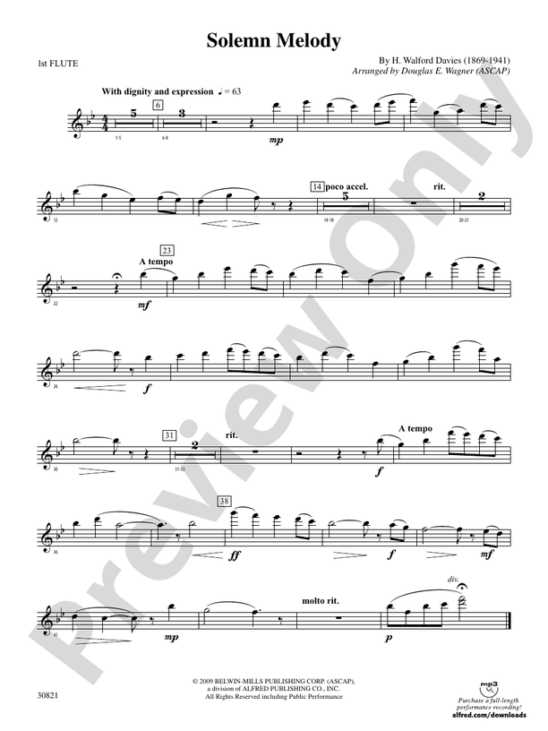 Solemn Melody: Flute: Flute Part - Digital Sheet Music Download