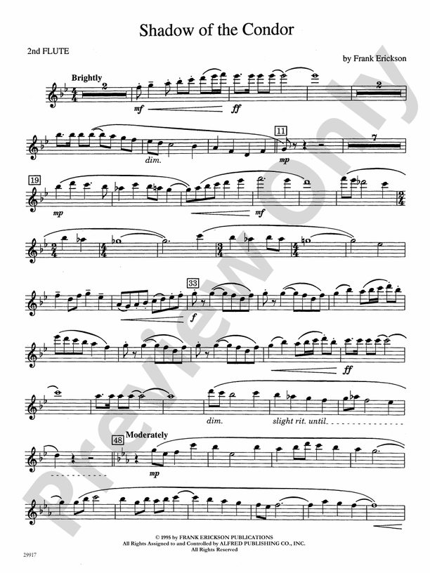 Shadow of the Condor: 2nd Flute: 2nd Flute Part - Digital Sheet Music ...