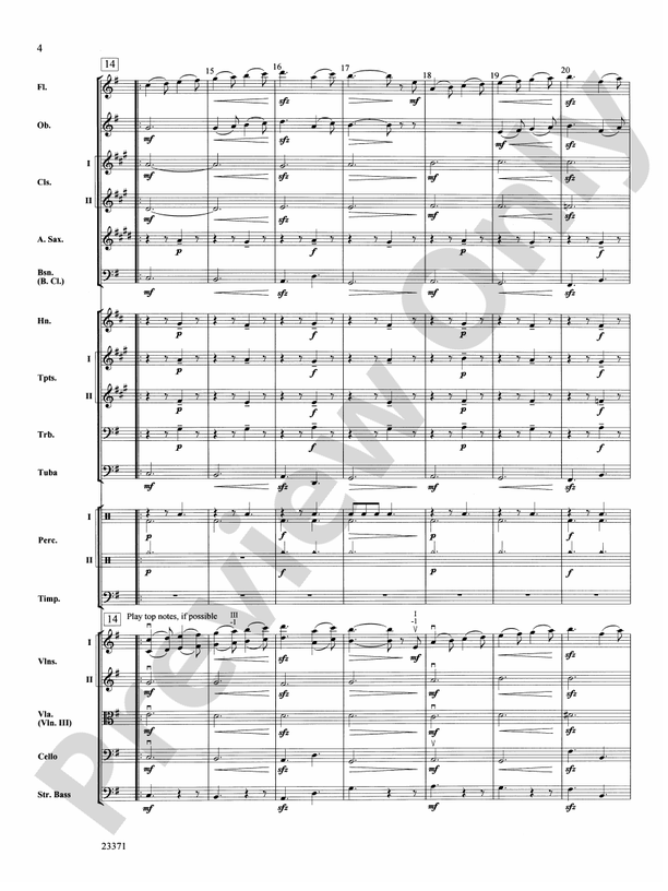 The Moldau: Full Orchestra Conductor Score & Parts: Bedrich Smetana ...
