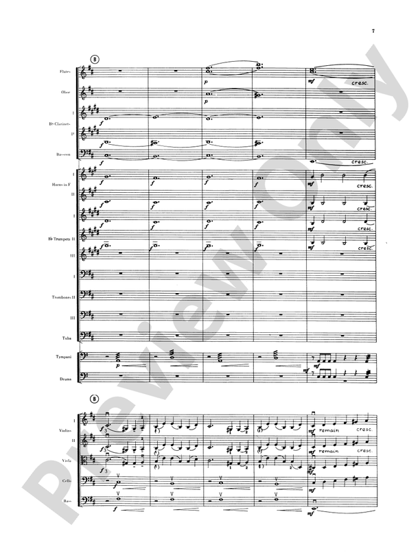 Sibelius's 2nd Symphony, 4th Movement: Score: Full Orchestra Score - Digital Sheet Music Download