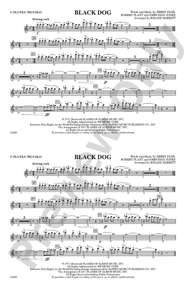 Black Dog: Flute: Flute Part - Digital Sheet Music Download