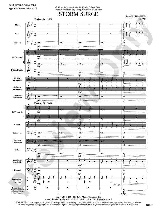 Storm Surge: Score: Concert Band Score: David Shaffer - Digital Sheet ...