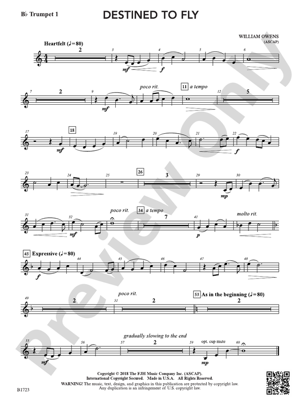 Destined to Fly: B-flat Trumpet 1: B-flat Trumpet 1 Part: William Owens ...