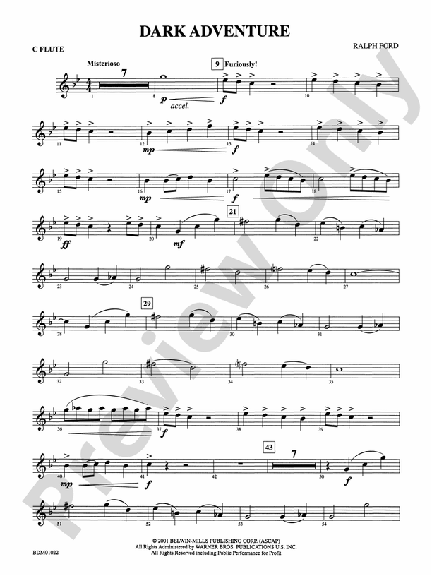 Dark Adventure: Flute: Flute Part - Digital Sheet Music Download