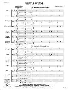 Gentle Winds: Concert Band Conductor Score: Timothy Loest | Alfred Music