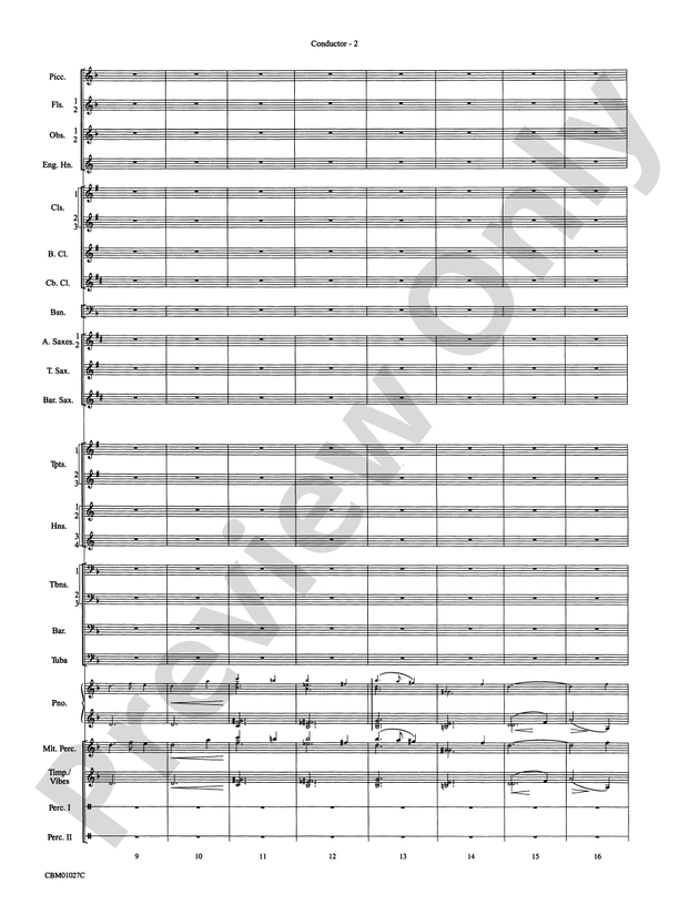 Harry Potter Symphonic Suite: Score: Concert Band Score - Digital Sheet ...