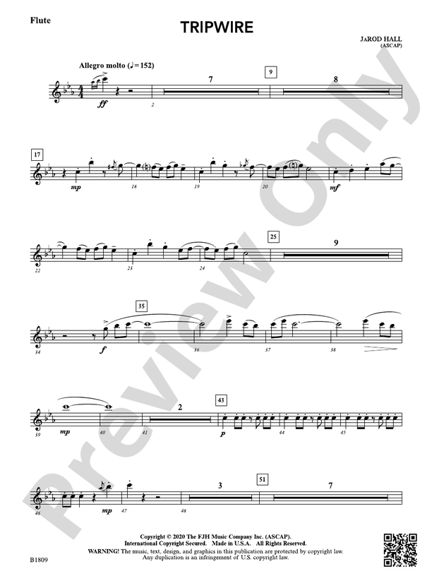 Tripwire: Flute: Flute Part: JaRod Hall - Digital Sheet Music Download