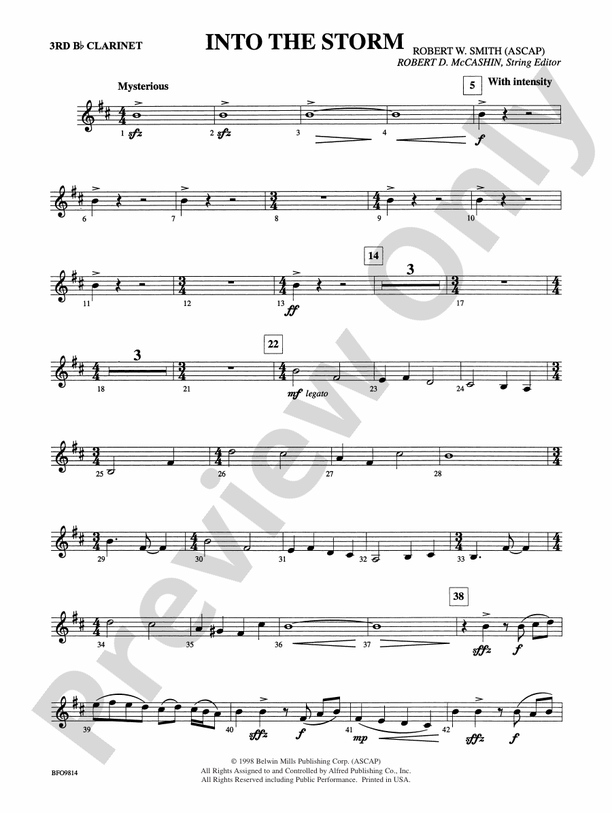 Into the Storm: 3rd B-flat Clarinet: 3rd B-flat Clarinet Part - Digital Sheet Music Download