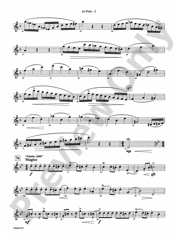 Harry Potter Symphonic Suite: Flute: Flute Part - Digital Sheet Music Download