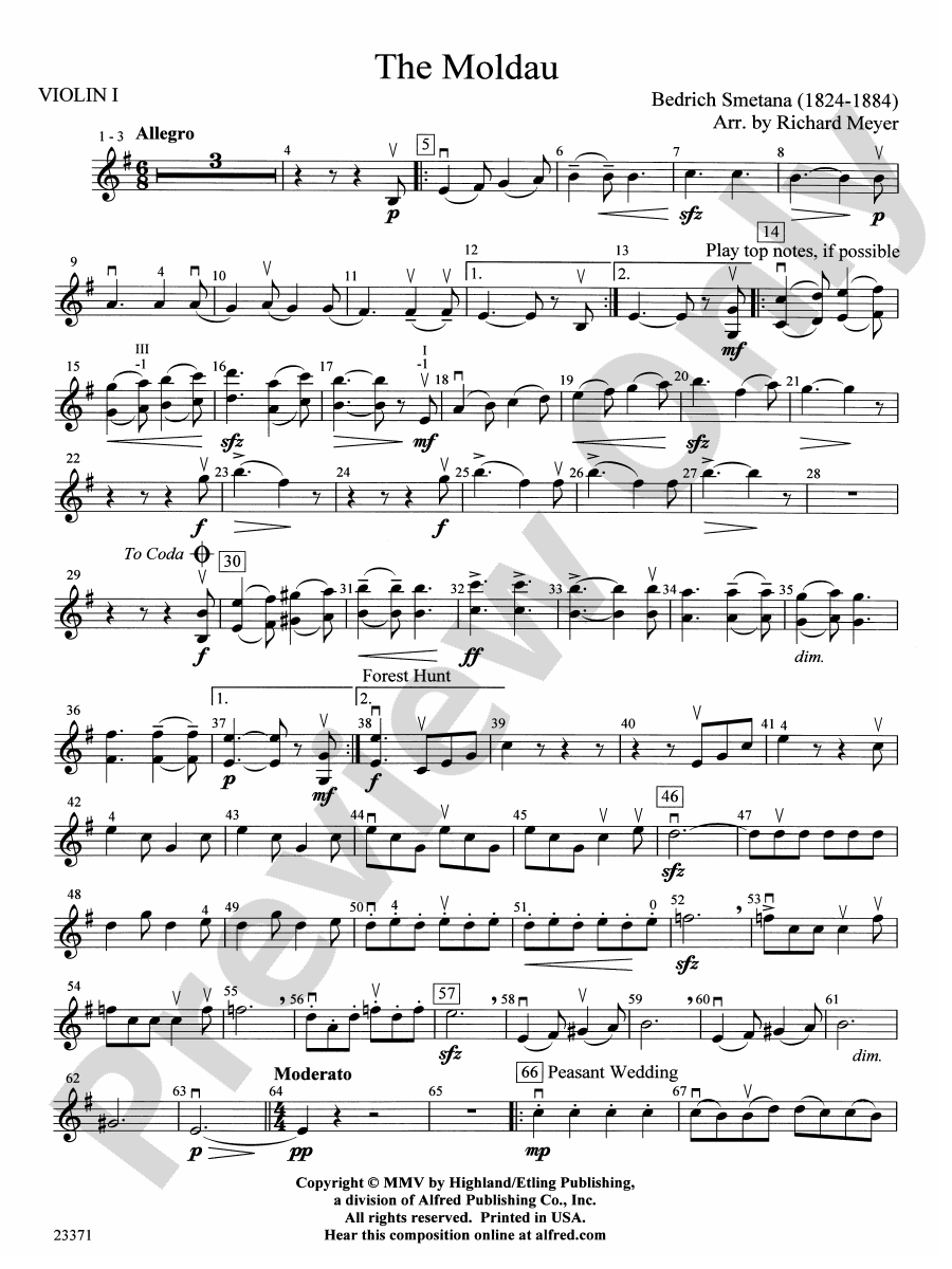 The Moldau: 1st Violin: 1st Violin Part - Digital Sheet Music Download