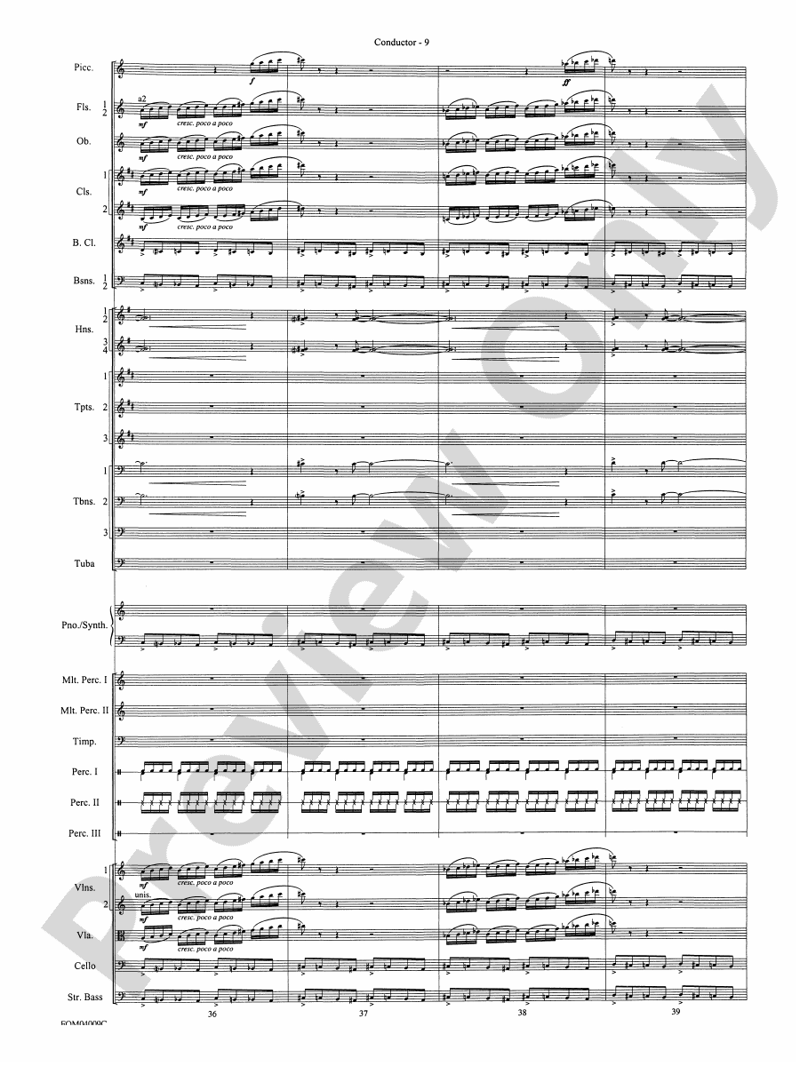 The Polar Express, Concert Suite from: Full Orchestra Conductor Score ...