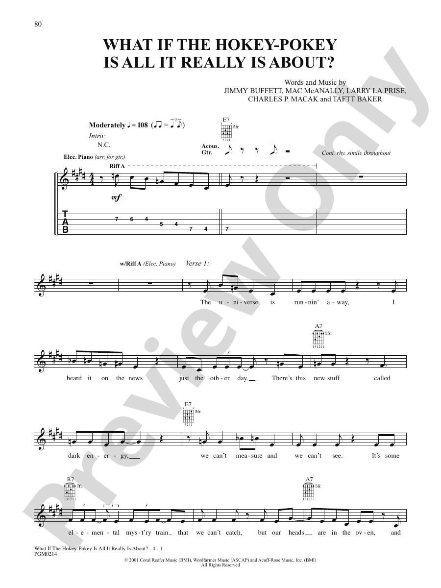 What If the Hokey Pokey Is All It Really Is About?: Guitar: Jimmy ...